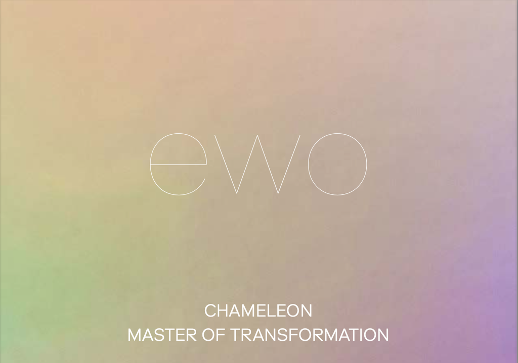 ewo Chameleon Look and Feel Brochure | Tam Minh - Premium Solutions for ...